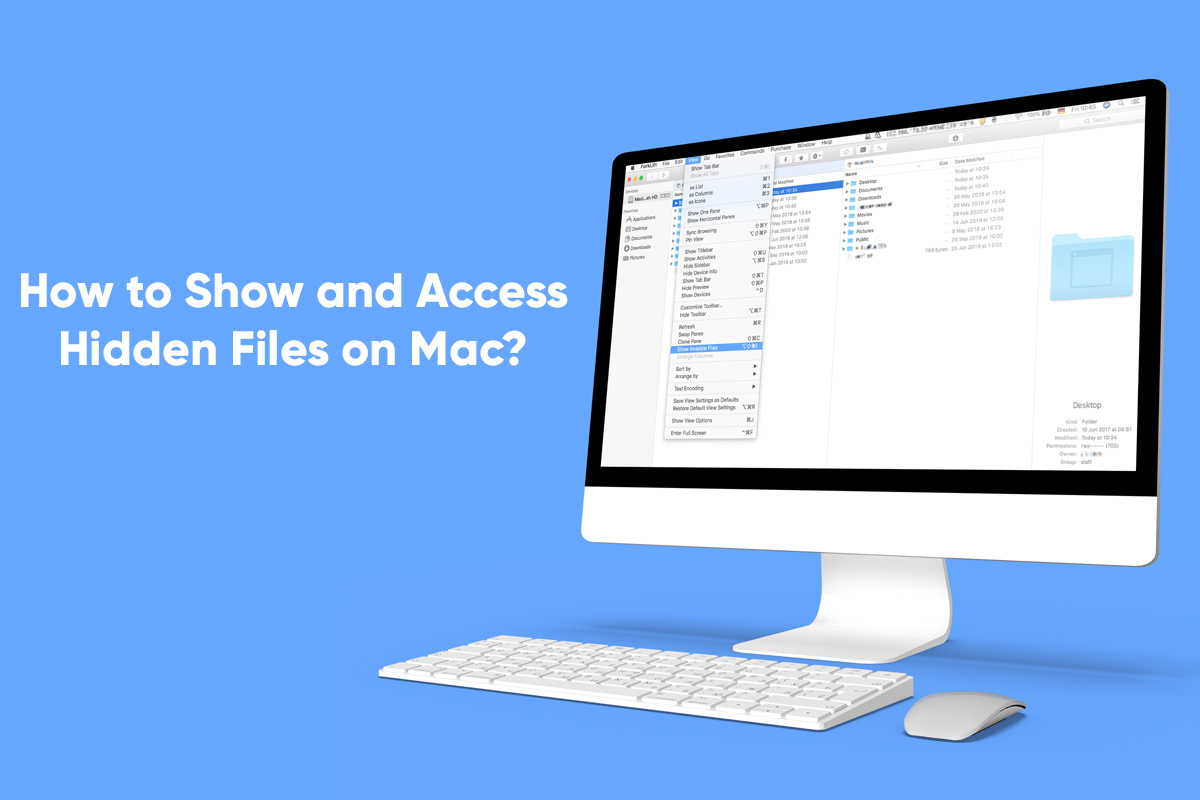 How To Show and Access Hidden Files on Mac? - Psyco Health